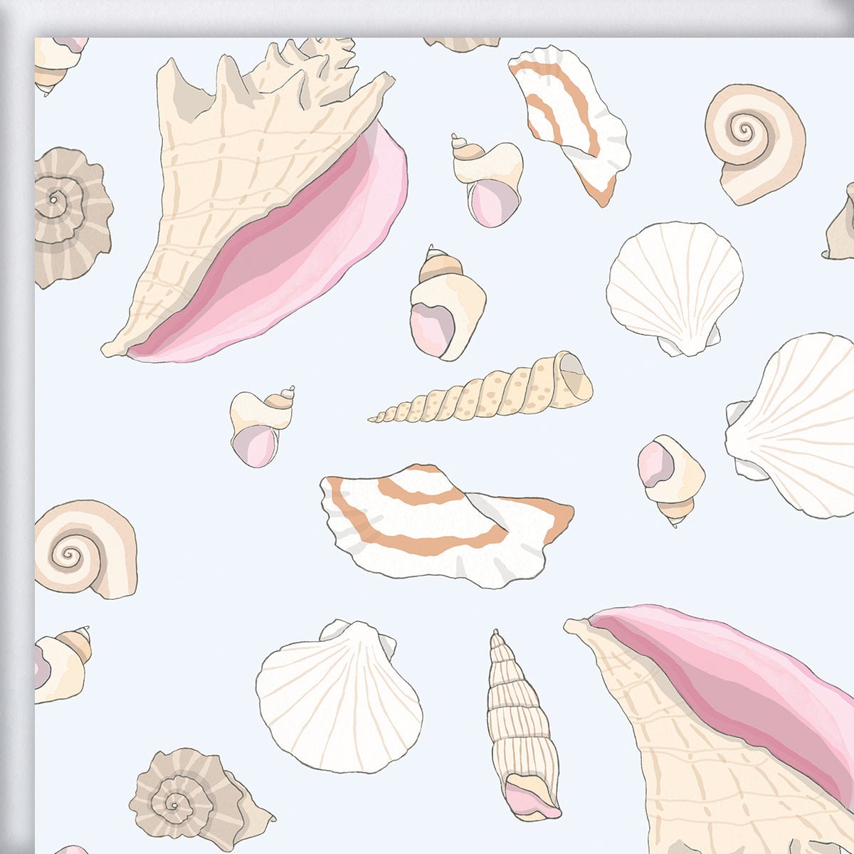 Sara Fitz Seashell Gift Wrap 3 Sheets Per Roll