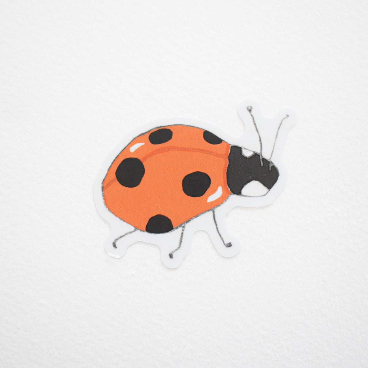 Sara Fitz Ladybug Sticker Durable Vinyl Indoor Outdoor
