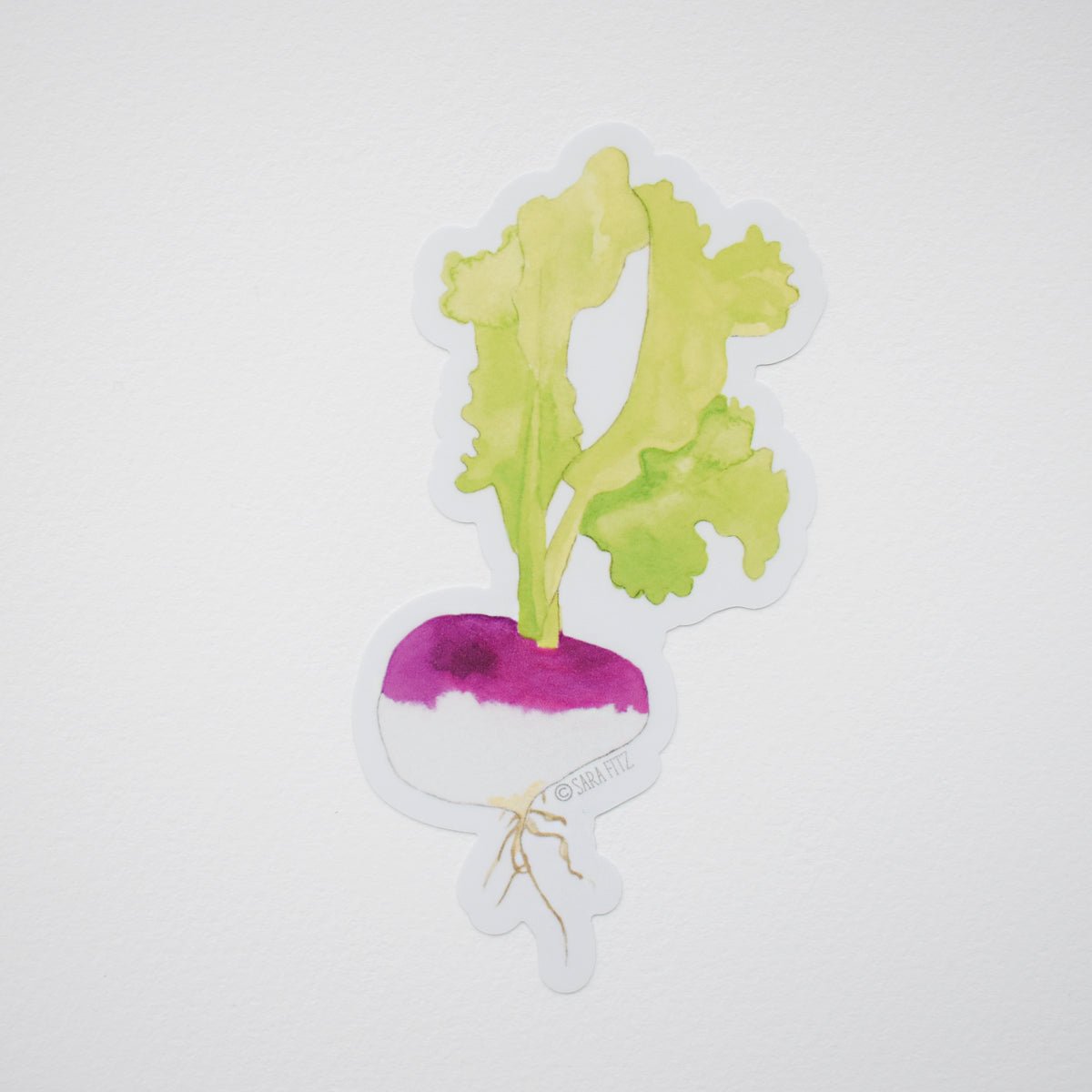 Sara Fitz Turnip Sticker Weatherproof Vinyl 2.5x4